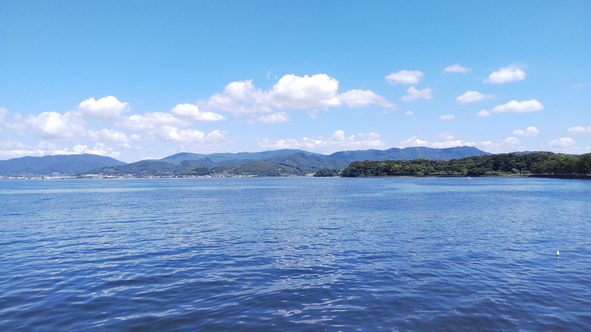 富士見岩 / P.rabbit_sho_さんの坊ヶ峰・石巻山・神石山・葦毛湿原の活動データ | YAMAP / ヤマップ