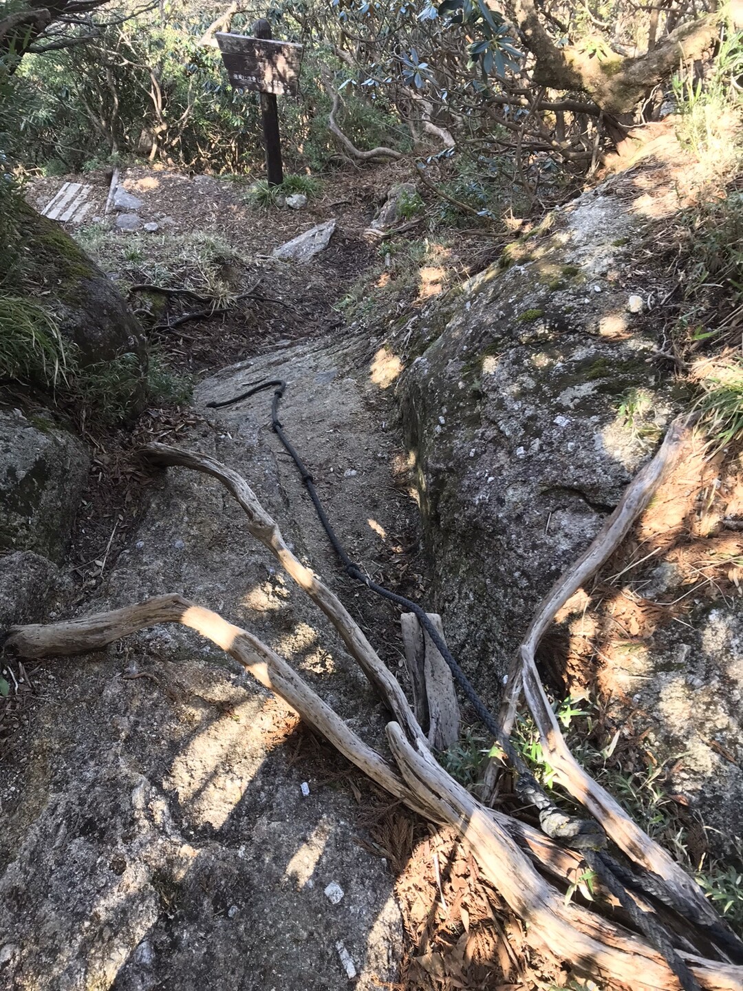 hoさんの投稿したフィールドメモ | YAMAP / ヤマップ