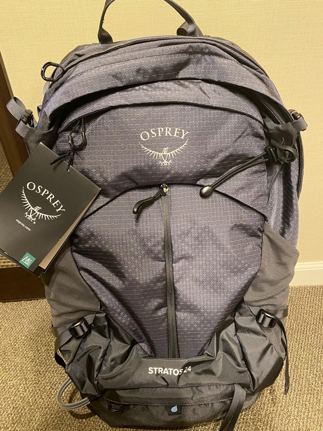 今年から簡単なハイキングに多めに行きたい... / Jogging Manさんのモーメント | YAMAP / ヤマップ