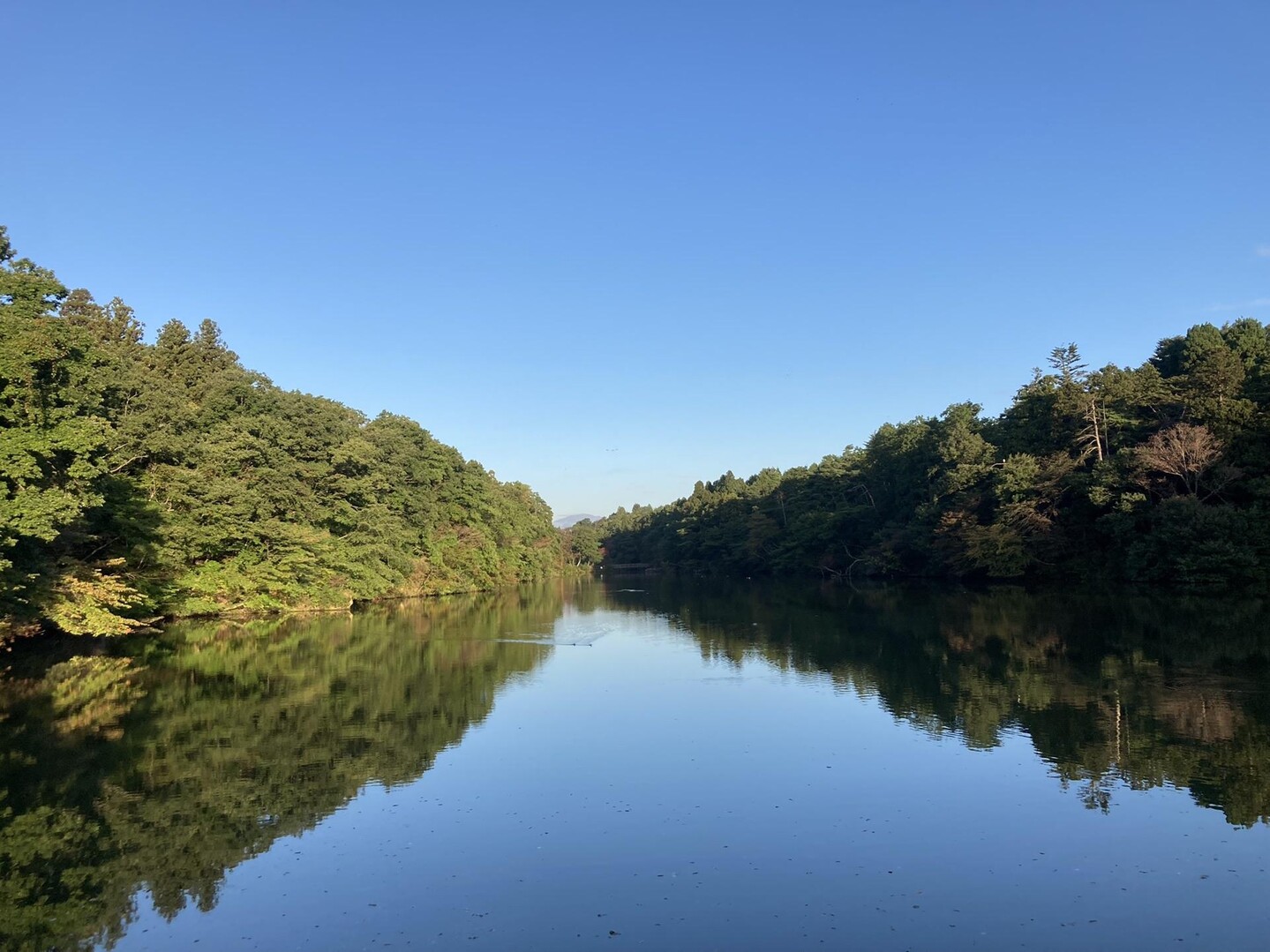 おはようございます^ ^ 今朝は雲ひと... / OBsunさんのモーメント | YAMAP / ヤマップ