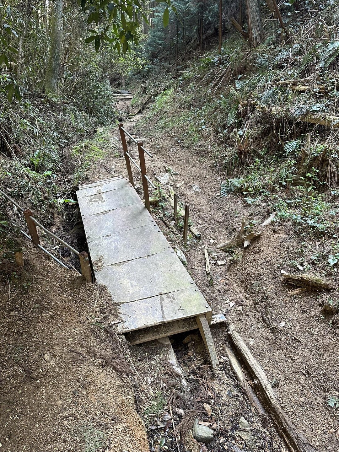 gs-h_satohさんの投稿したフィールドメモ | YAMAP / ヤマップ