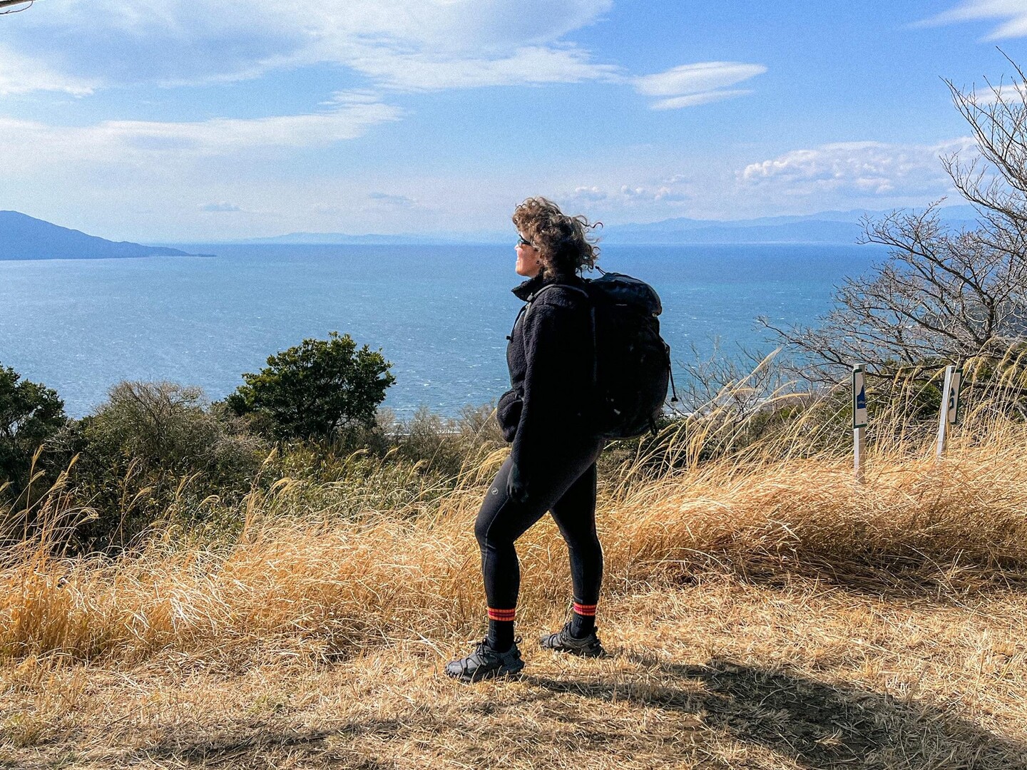 Numazu Alps / Camiさんの沼津アルプス・鷲頭山・香貫山の活動データ | YAMAP / ヤマップ