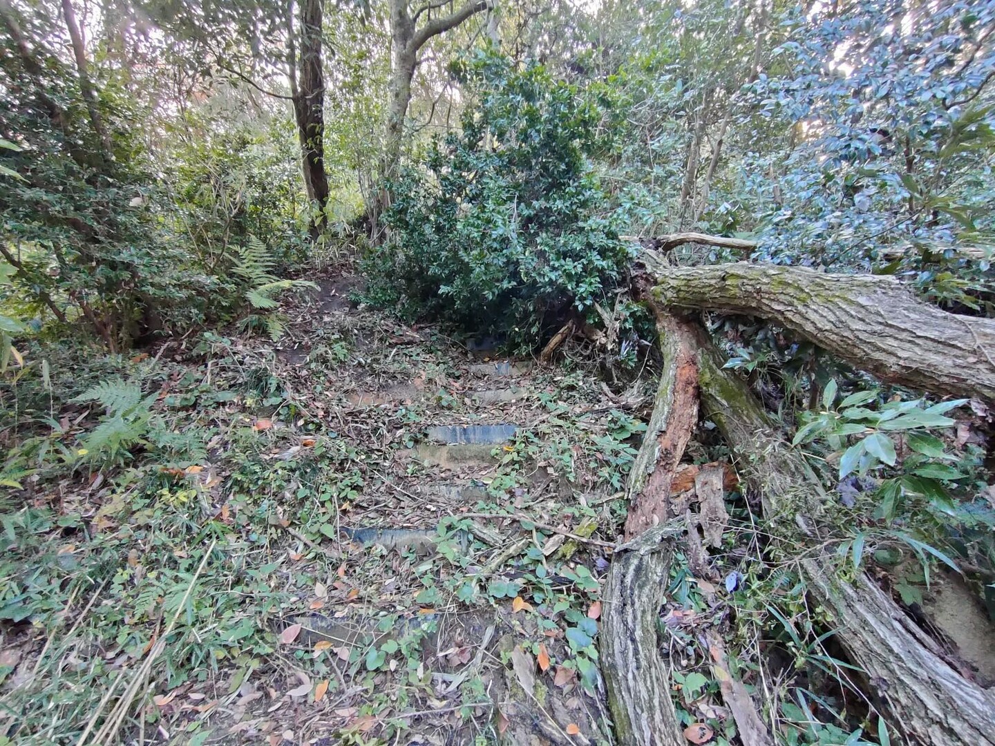 komaJさんの投稿したフィールドメモ | YAMAP / ヤマップ