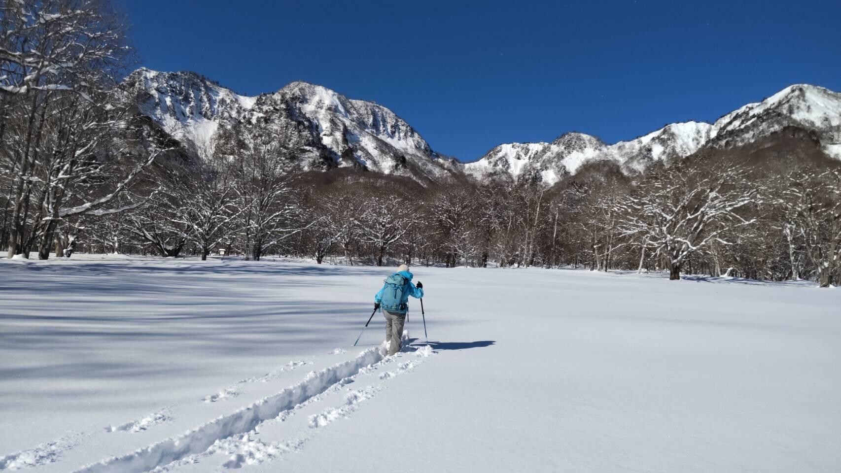 サンカヨウのページ | YAMAP / ヤマップ