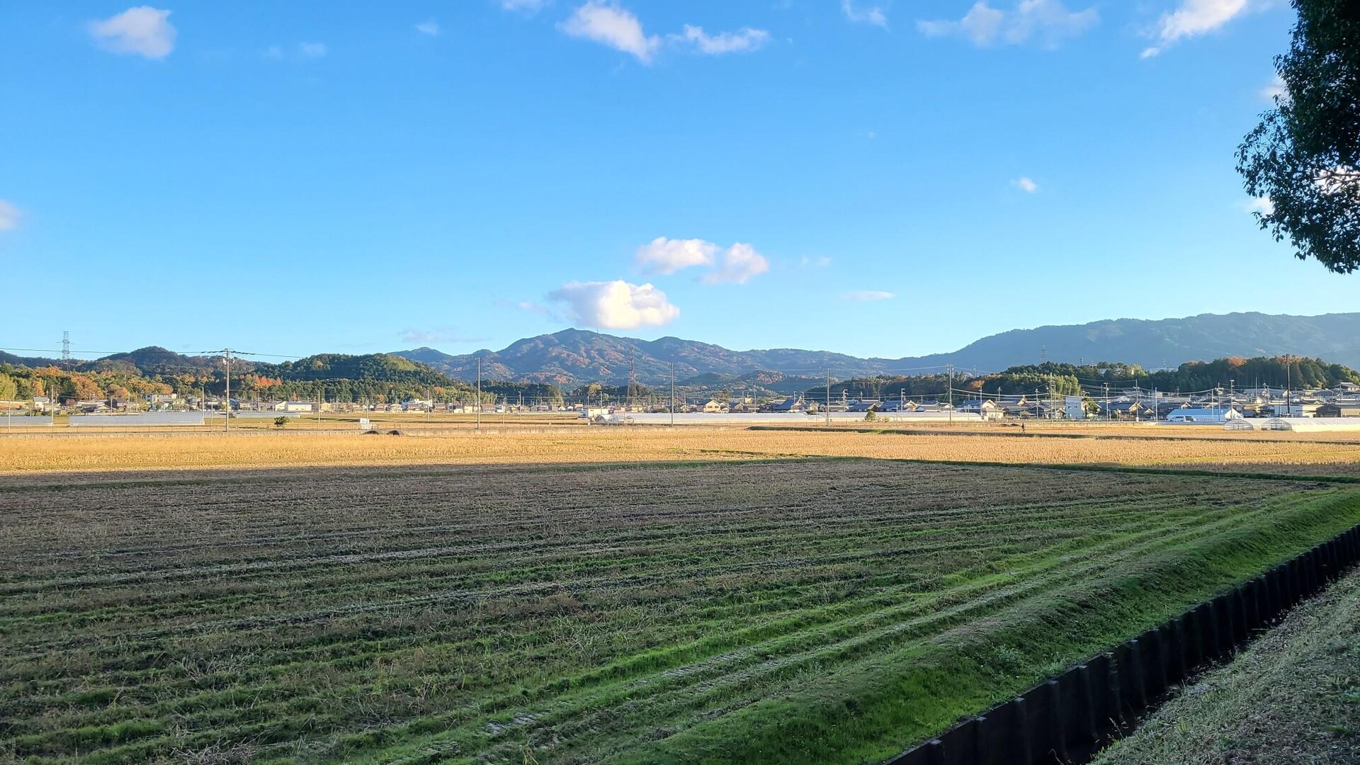 🚴‍♂️自転車でグレーピーク🏔️ 馬場山・イオロ山・日吉奥山 / araiotouさんの金勝アルプス（鶏冠山・竜王山）の活動データ | YAMAP / ヤマップ