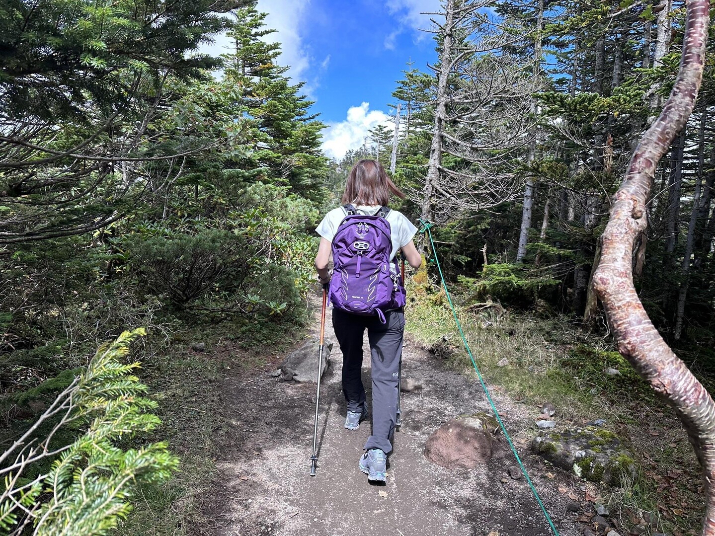 母を連れて北横岳へ / RAY(Ray Channel)さんの蓼科山・横岳・縞枯山の活動データ | YAMAP / ヤマップ