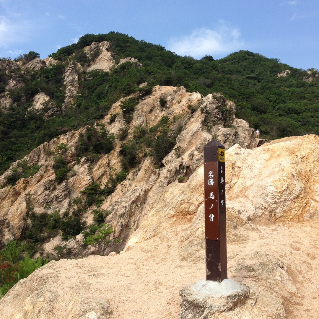 須磨アルプス（2014年7月12日）... / blubraさんのモーメント | YAMAP / ヤマップ