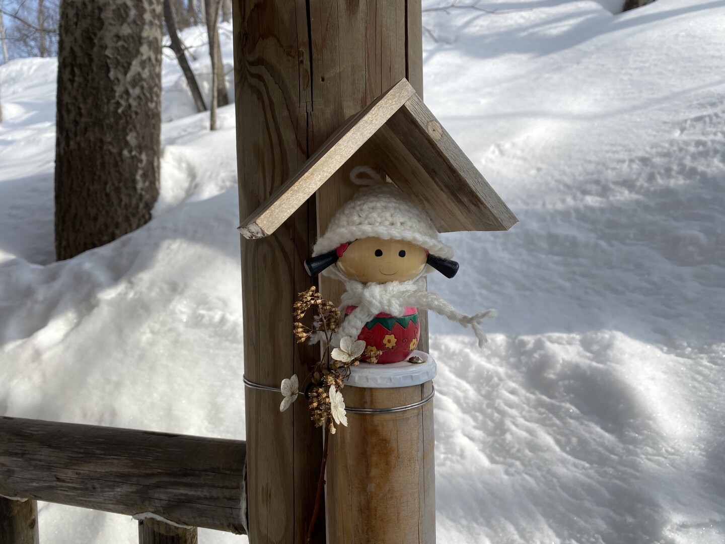 三角山~大倉山~奥三角山 二ヶ月ぶりの山... / kazuさんのモーメント | YAMAP / ヤマップ