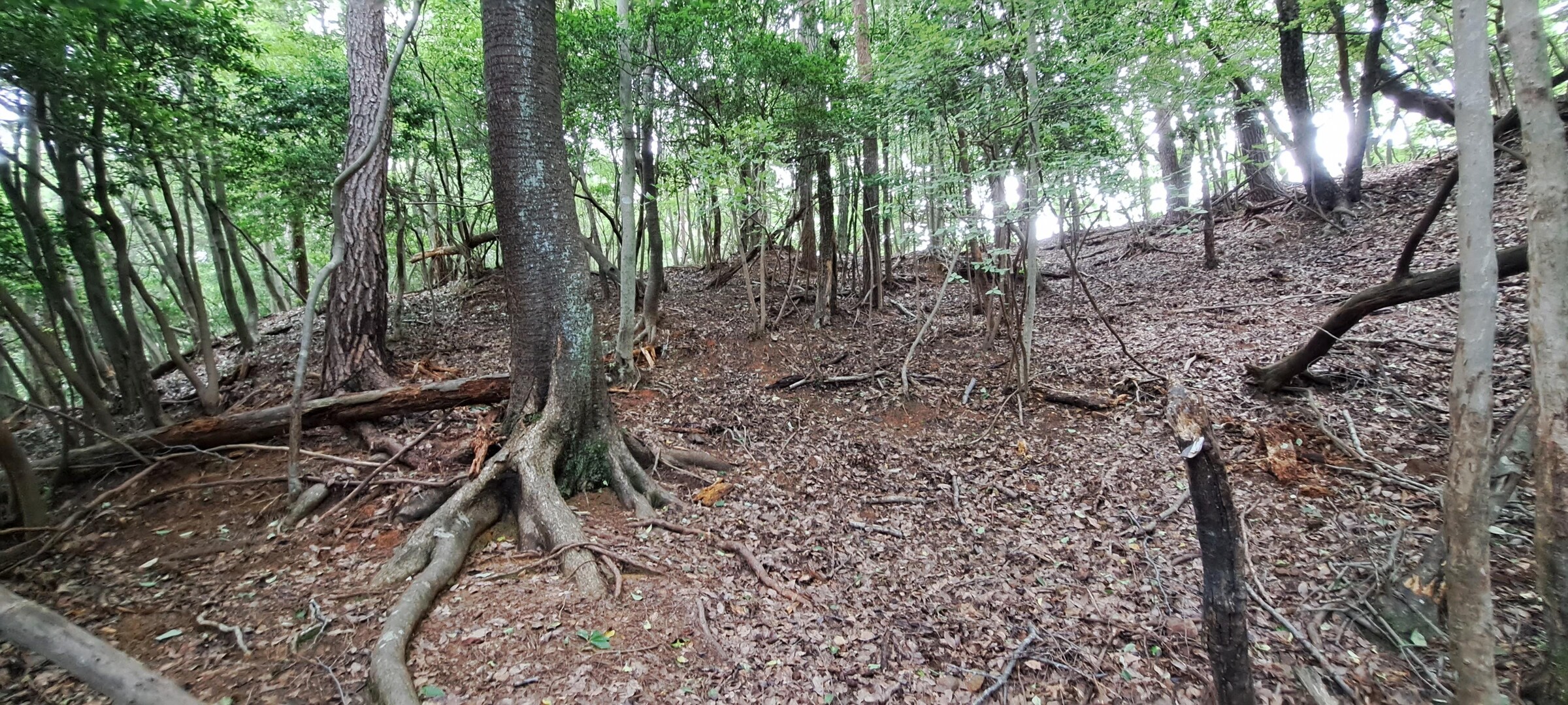 kame11さんの投稿したフィールドメモ | YAMAP / ヤマップ