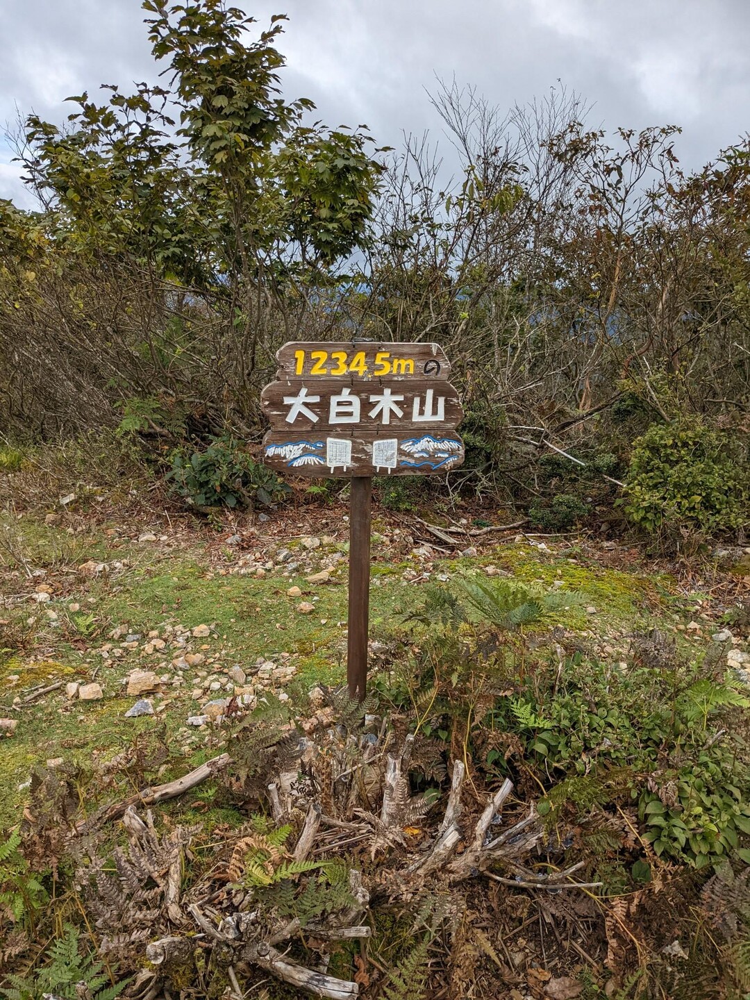 大白木山 / westさんの高屋山・大白木山の活動データ | YAMAP / ヤマップ