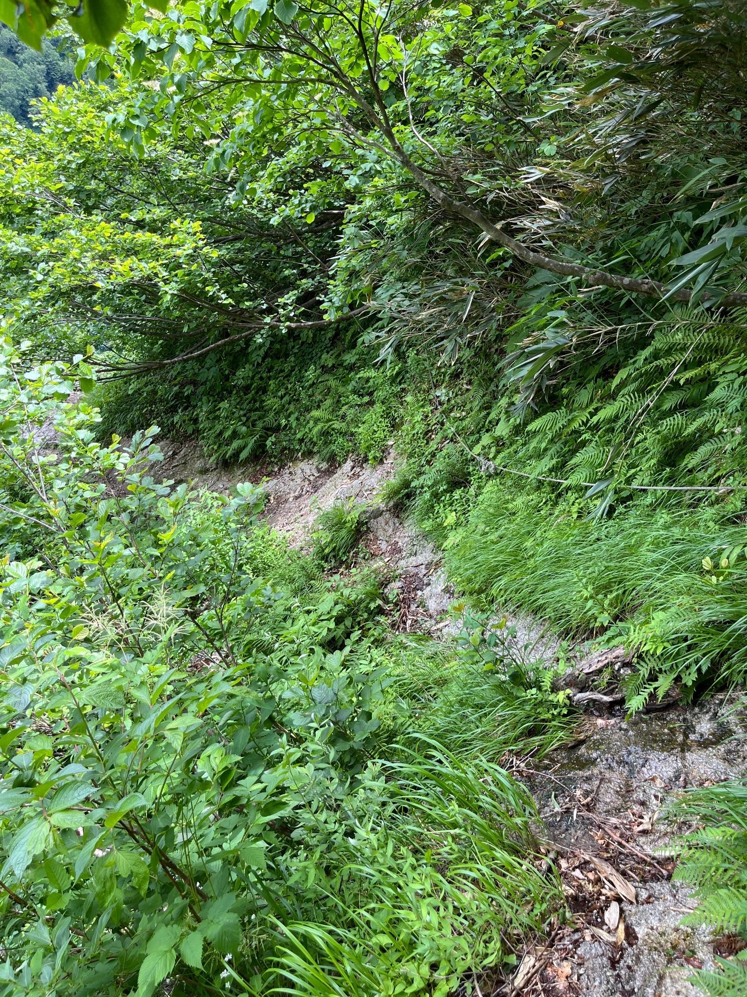 koicさんの投稿したフィールドメモ | YAMAP / ヤマップ