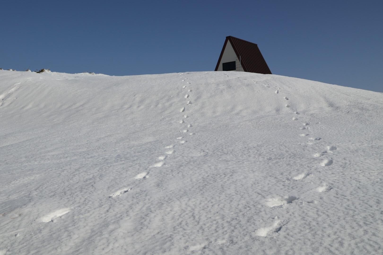 氷ノ山（須賀ノ山） / yuki yamaさんの氷ノ山（須賀ノ山）・鉢伏山・瀞川山の活動データ | YAMAP / ヤマップ