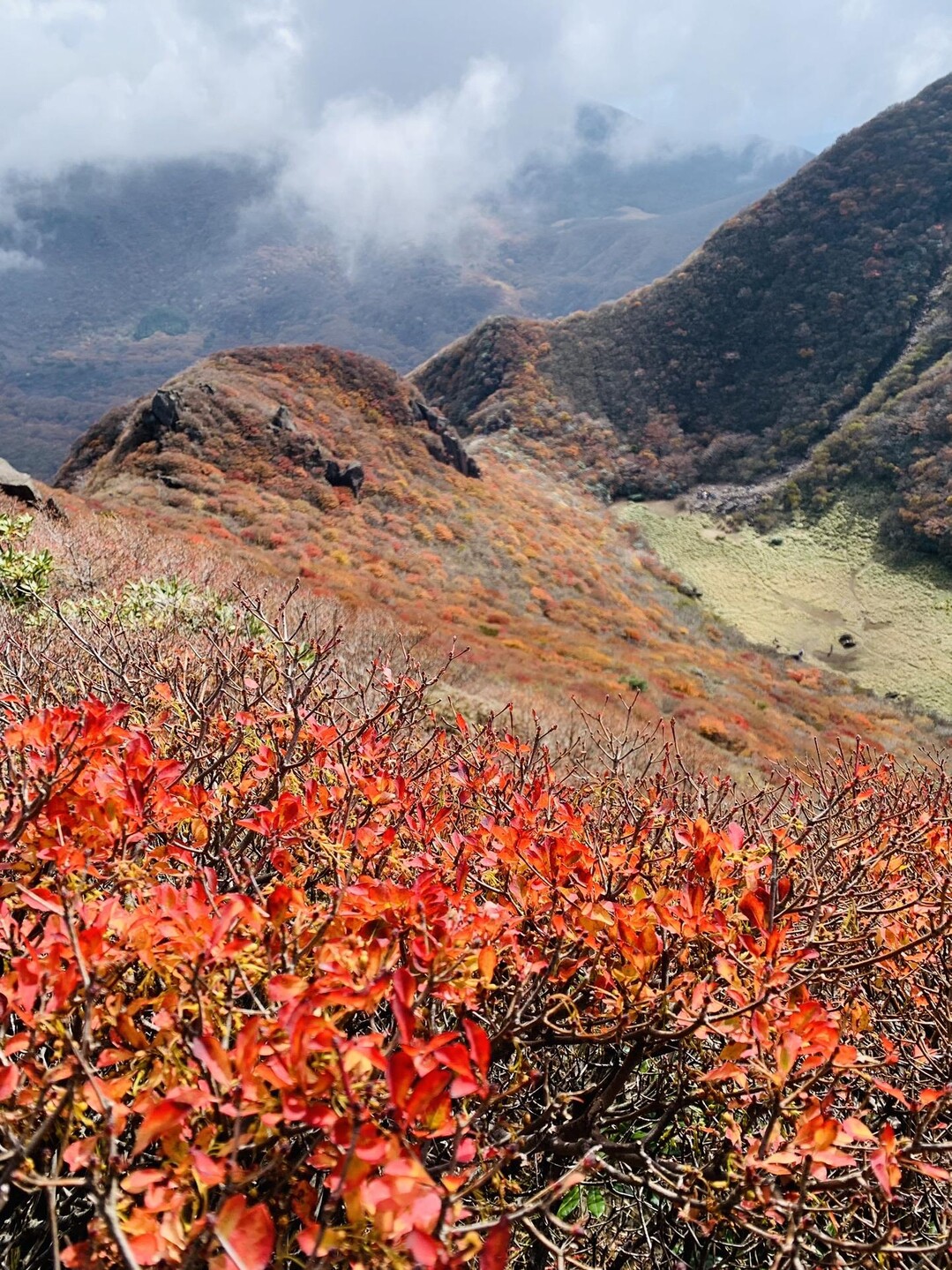 色とりどり♫三俣山 / ゆーさんの九重山（久住山）・大船山・星生山の活動データ | YAMAP / ヤマップ