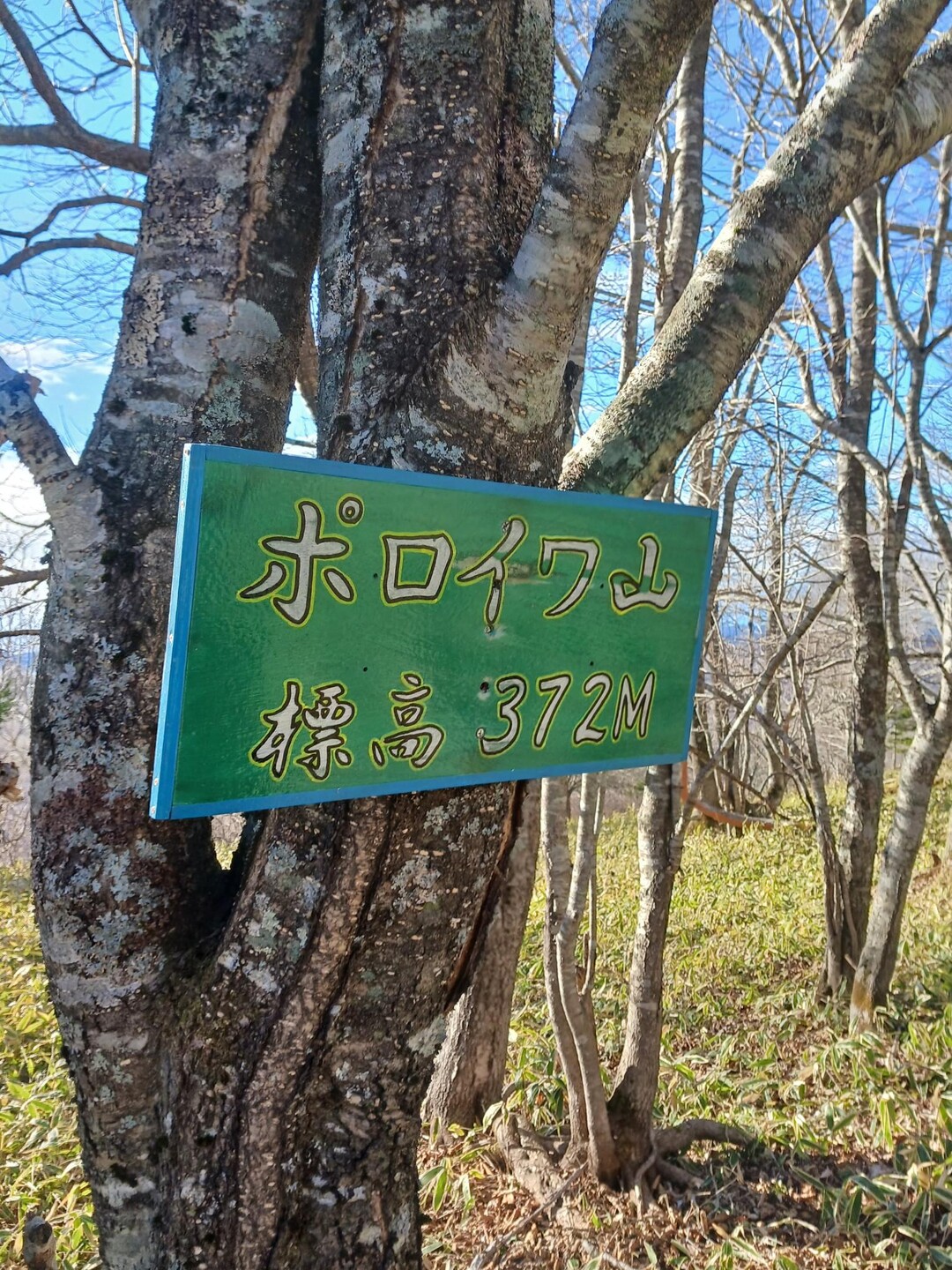 ポロイワ山 / シグナルさんのGT3 12の活動データ | YAMAP / ヤマップ
