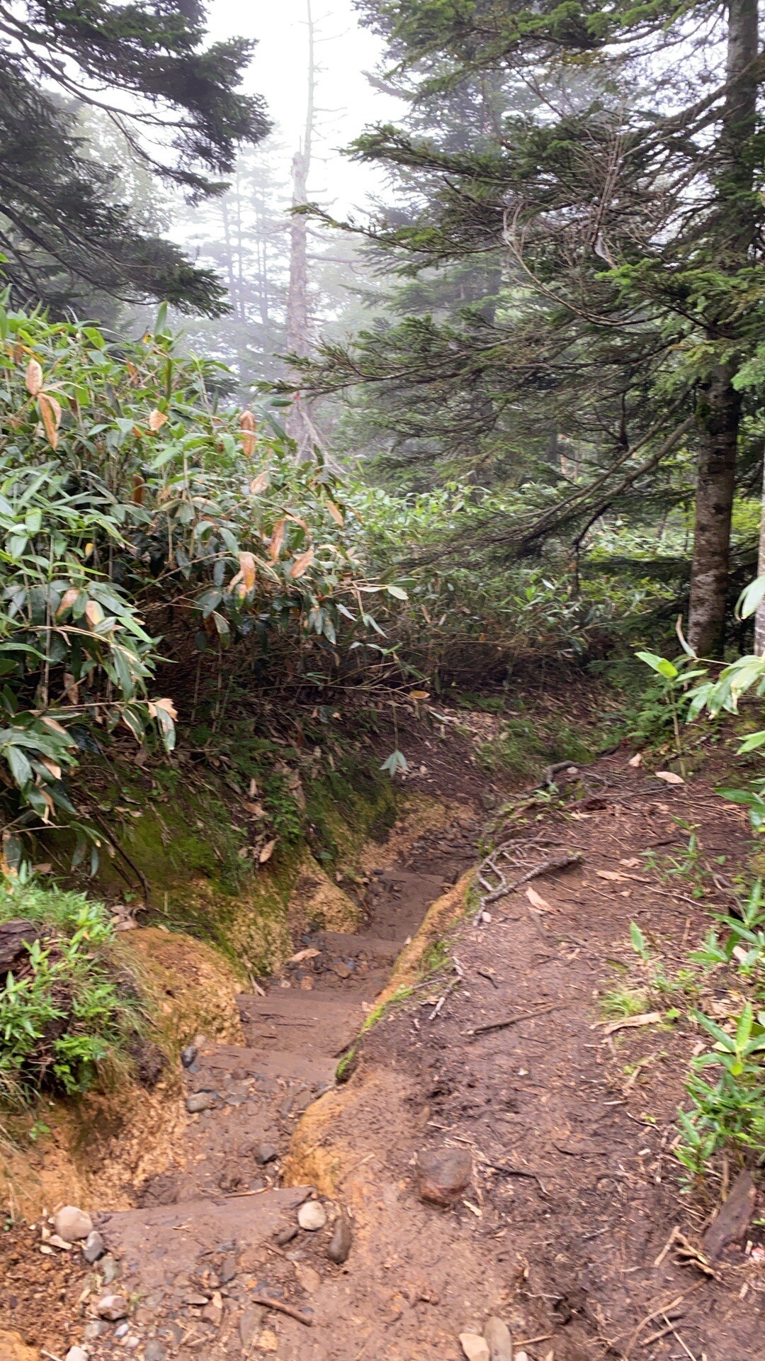 N.Hiroさんの投稿したフィールドメモ | YAMAP / ヤマップ