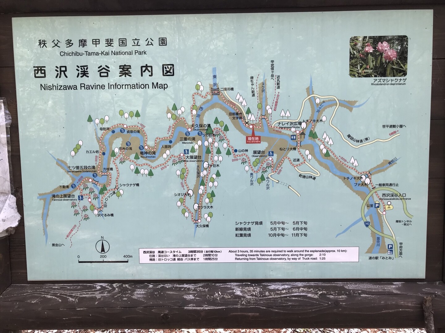 甲武信ヶ岳1日目、水が足りない / 甲武信ヶ岳の写真4枚目 | YAMAP / ヤマップ