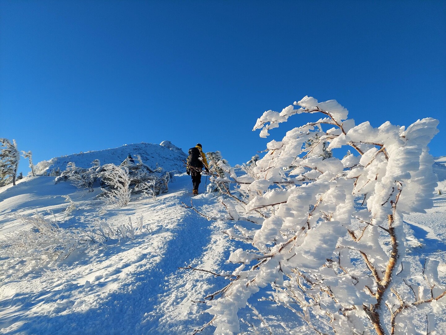 八ヶ岳・黒百合ヒュッテ・天狗岳 / sis_kさんの八ヶ岳（赤岳・硫黄岳・天狗岳）の活動データ | YAMAP / ヤマップ
