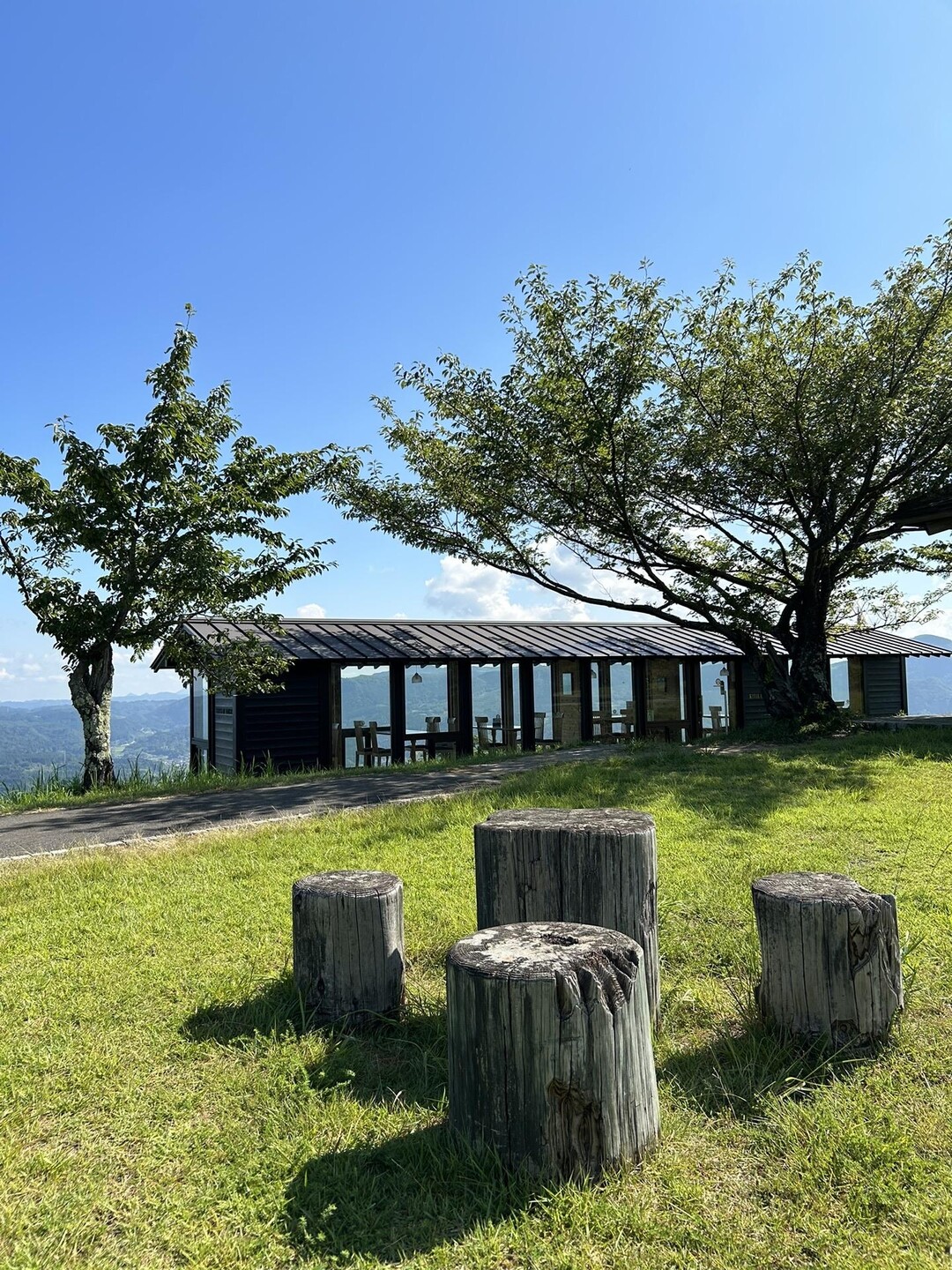 伐株山 セコップでもいい🤣『私、ハイジになりたいの🥰』 / pu_ka夫さんの万年山・伐株山の活動データ | YAMAP / ヤマップ