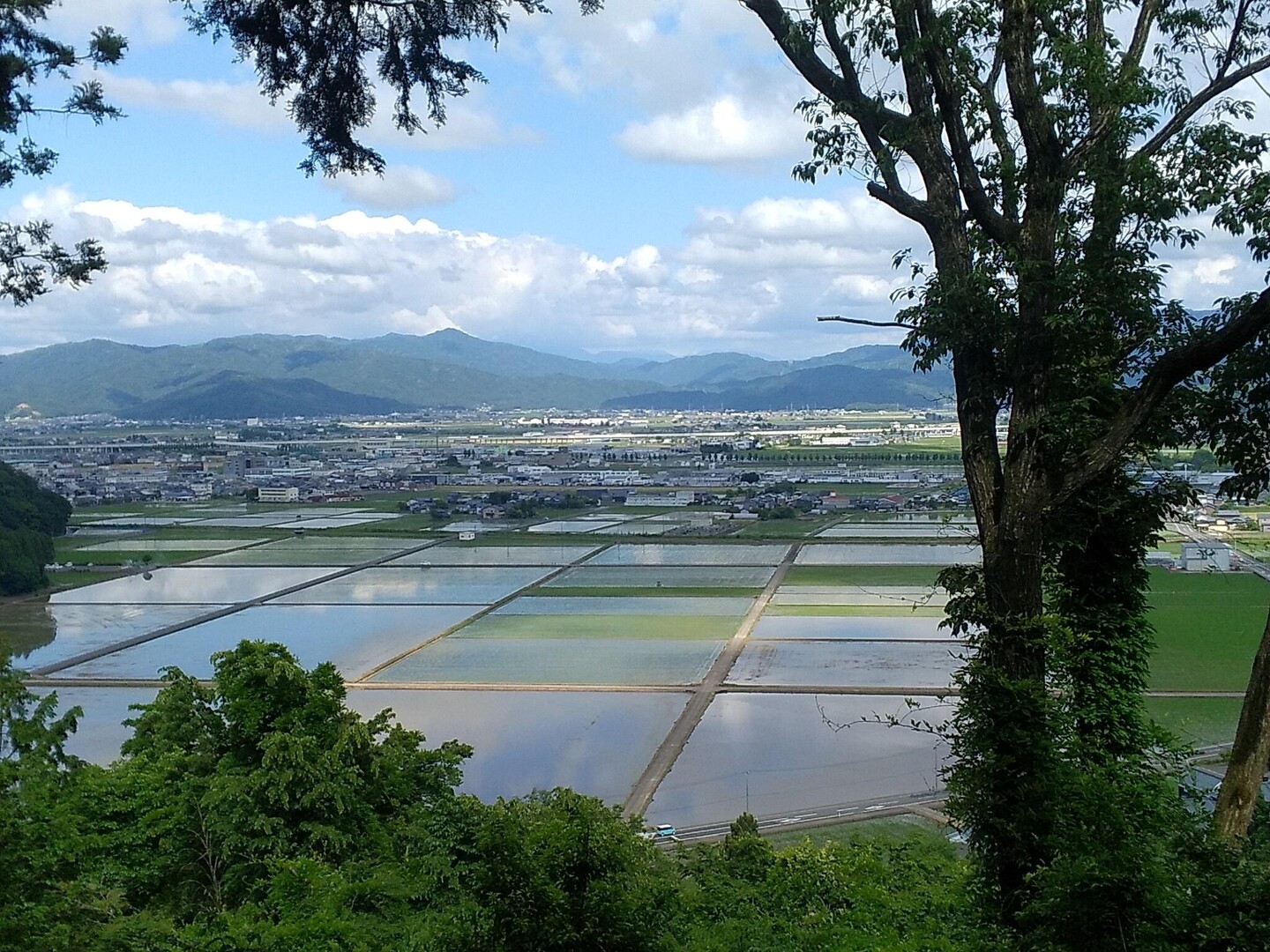 城山 / opal糸さんの城山・経ヶ岳・天神山の活動データ | YAMAP / ヤマップ