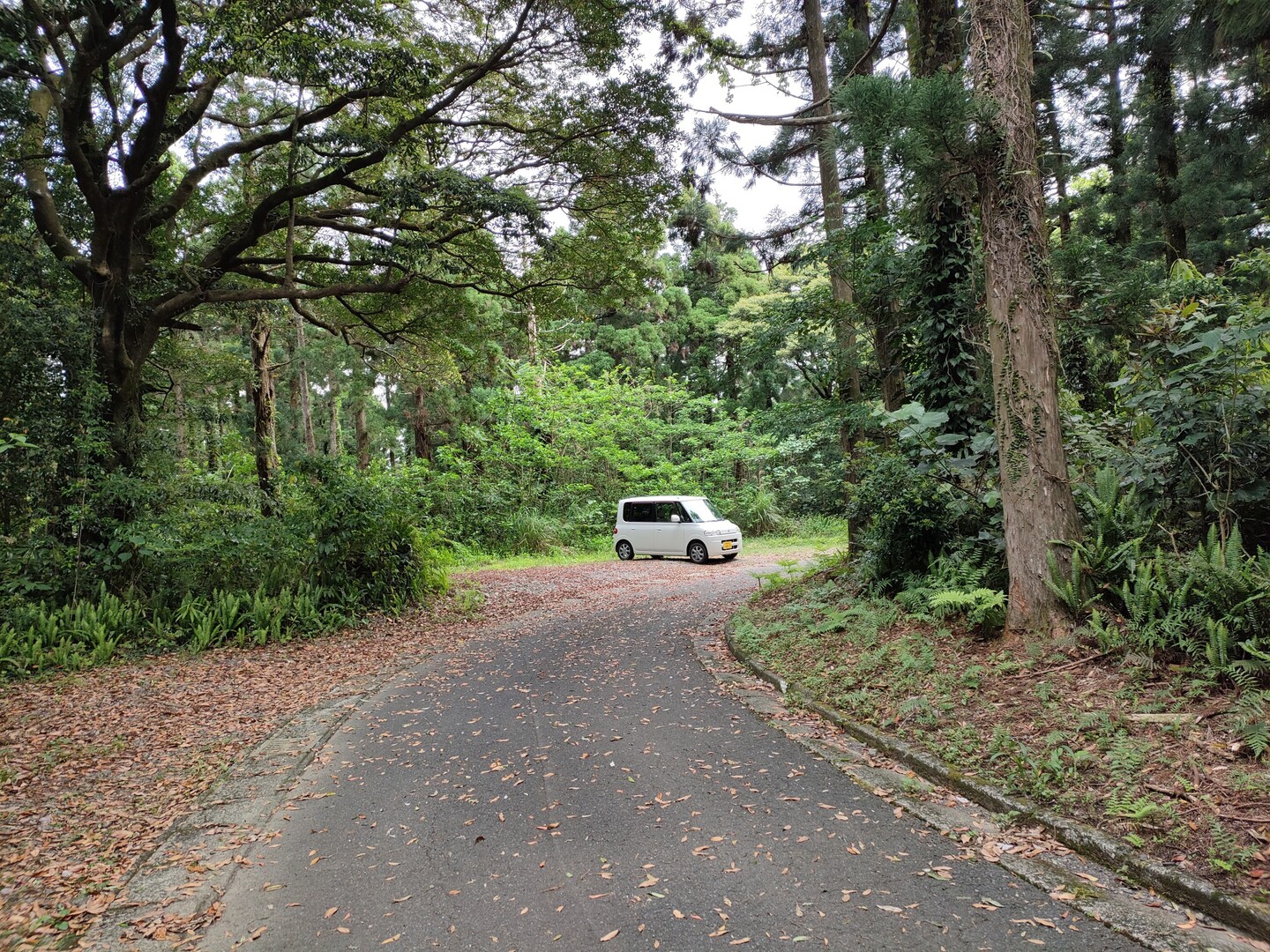 Shino_530さんの投稿したフィールドメモ | YAMAP / ヤマップ