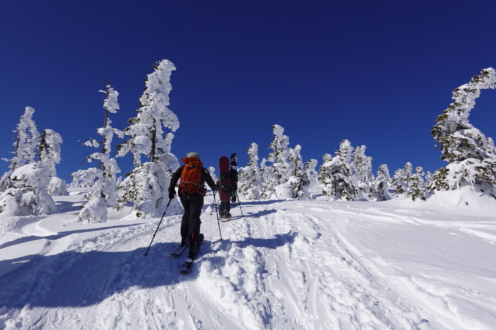 カグラBC / リンパーさんの苗場山・赤倉山・佐武流山の活動データ | YAMAP / ヤマップ