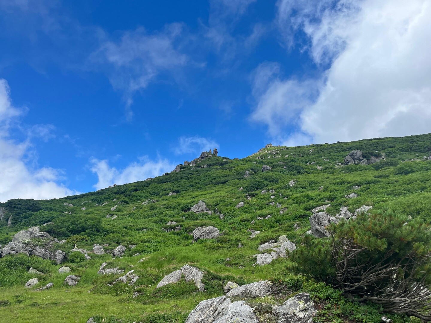 トムラウシ山 / ともさんのGT3 2の活動データ | YAMAP / ヤマップ