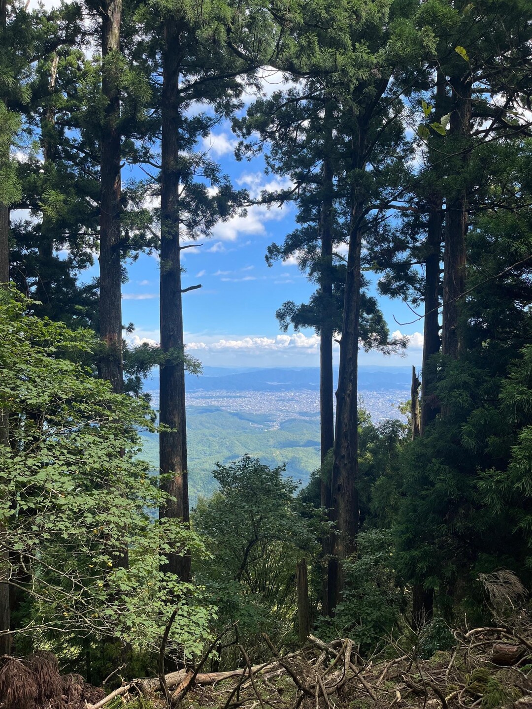 愛宕山 / SHOJIさんの愛宕山・三頭山・朝日峯の活動データ | YAMAP / ヤマップ