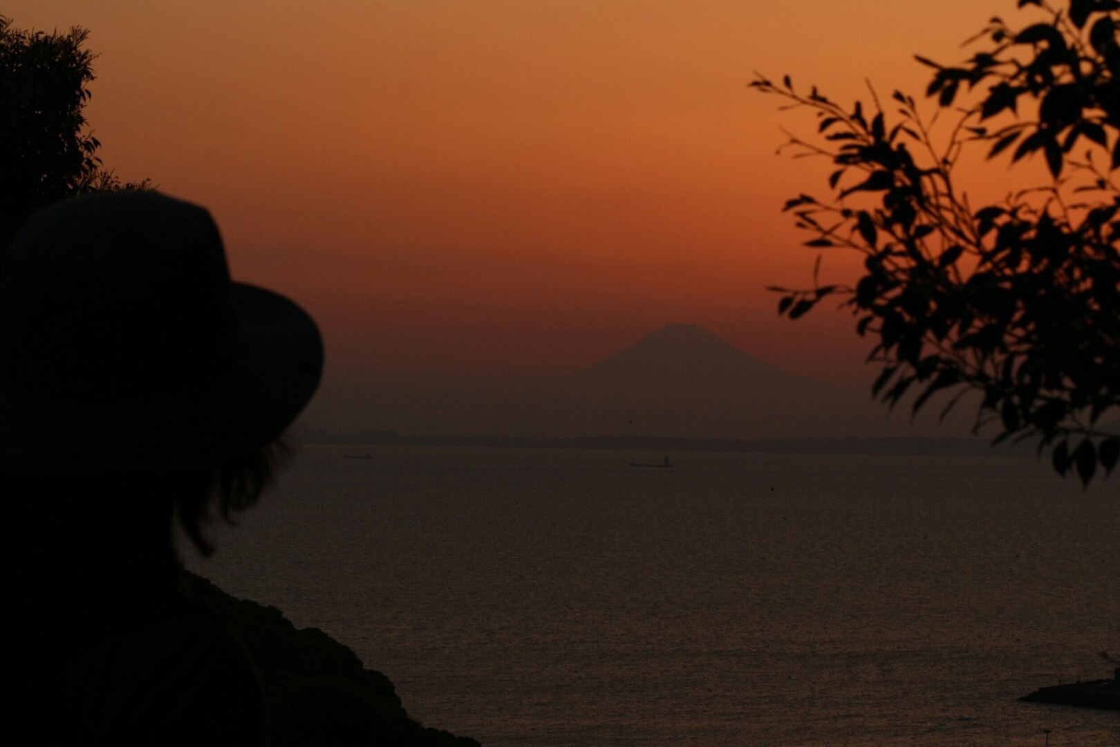 鋸山 / さとちゃん(iotan)さんの鋸山の活動データ | YAMAP / ヤマップ