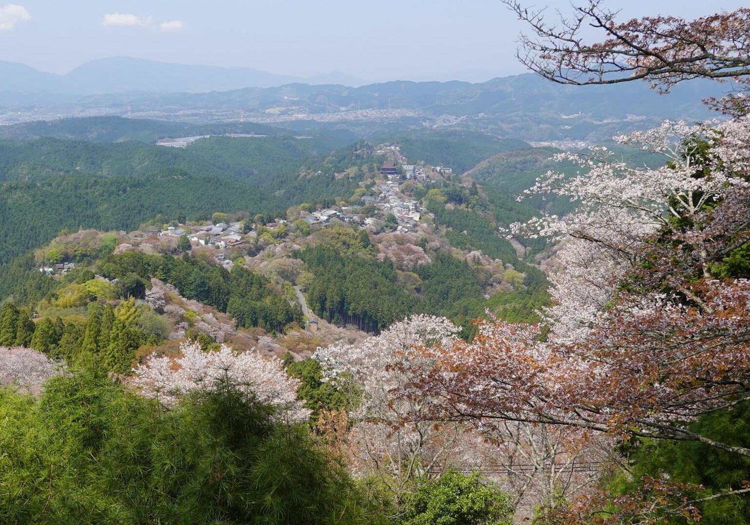 吉野山～高城山～奥千本 4月4日 ht... / kaz oonoさんのモーメント | YAMAP / ヤマップ