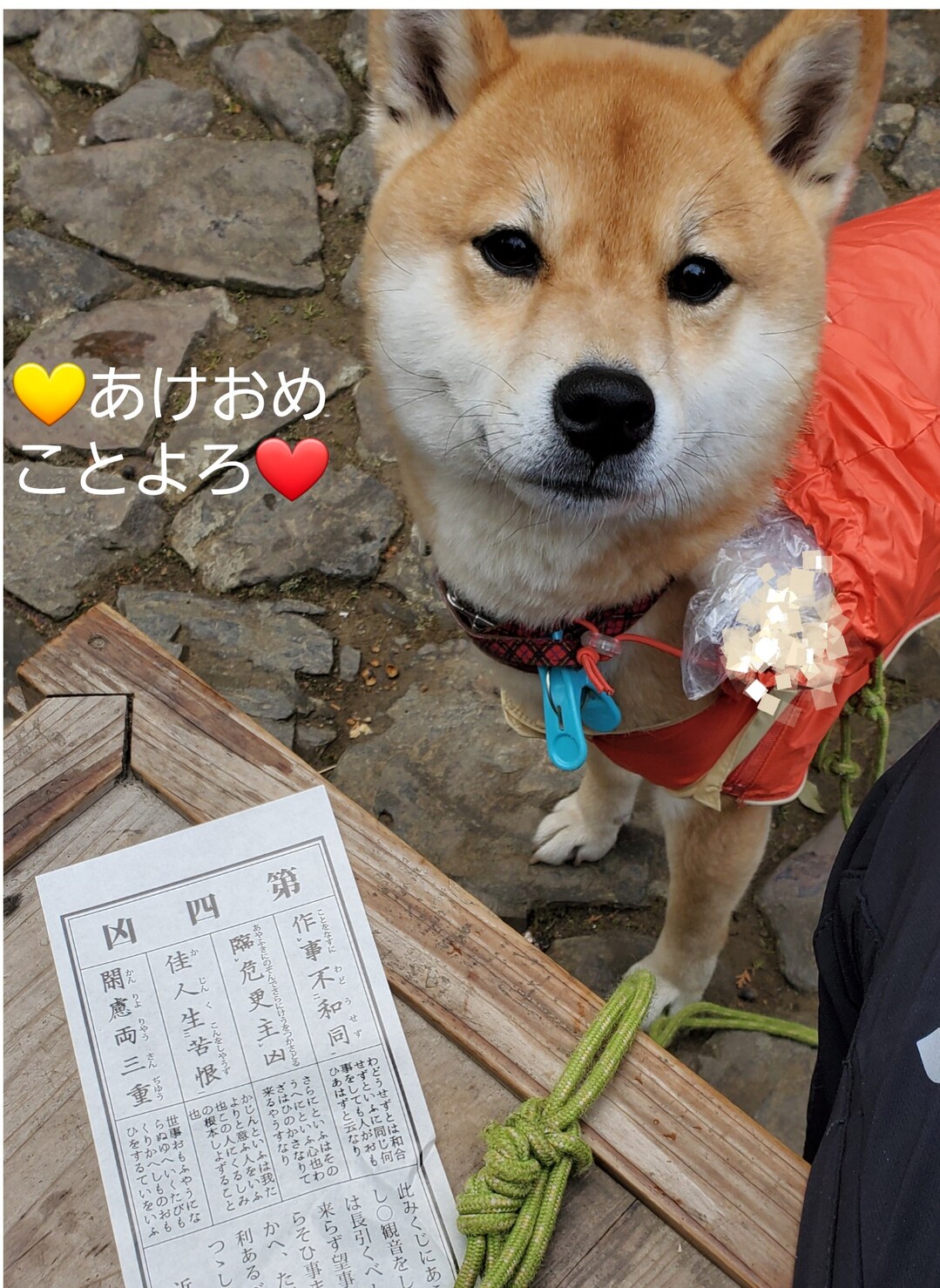 明けましておめでとうございマシタ‼️ / damens さんの湖南アルプス（太神山・堂山）の活動データ | YAMAP / ヤマップ