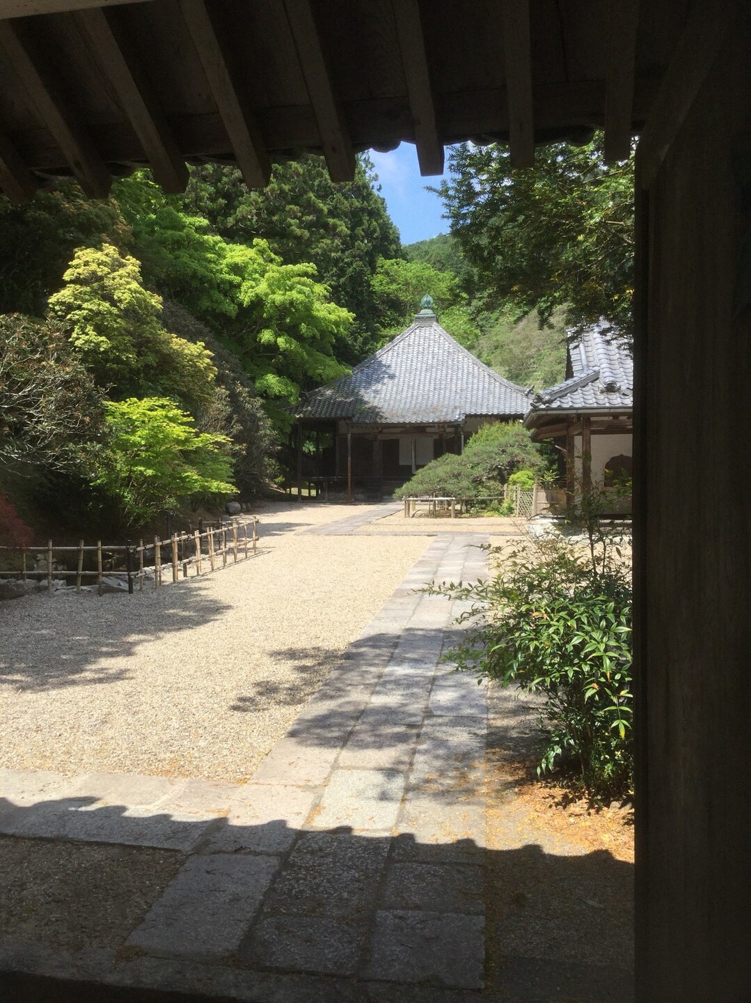 SKT下見(6名) 学文峰--井谷ノ峰 / SKTシルビアさんの金剛山・二上山・大和葛城山の活動データ | YAMAP / ヤマップ