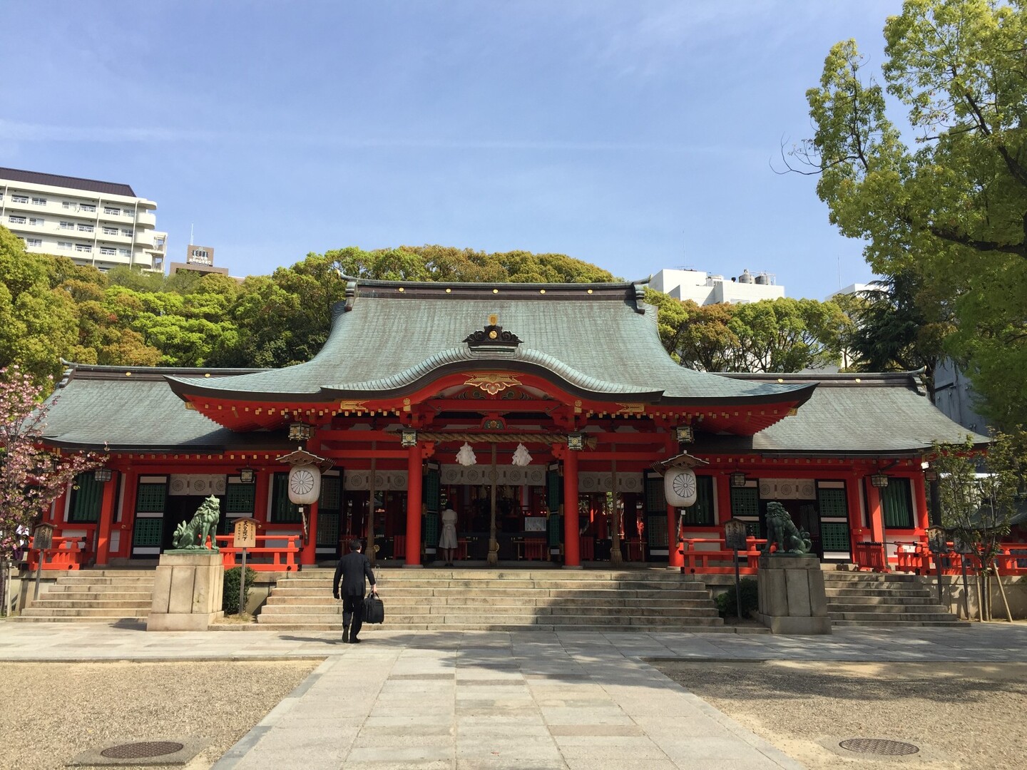 🚶‍♂️🚶お散歩日記 – 春うららか... / denaliさんのモーメント | YAMAP / ヤマップ