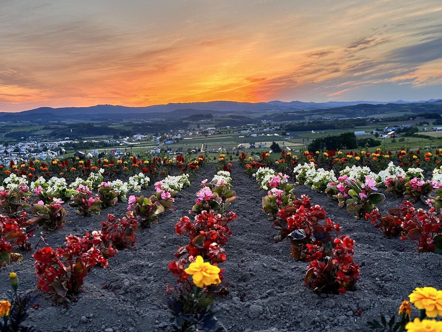 お気に入りの場所😍 少し前に両親が北海... / kana-chanさんのモーメント | YAMAP / ヤマップ