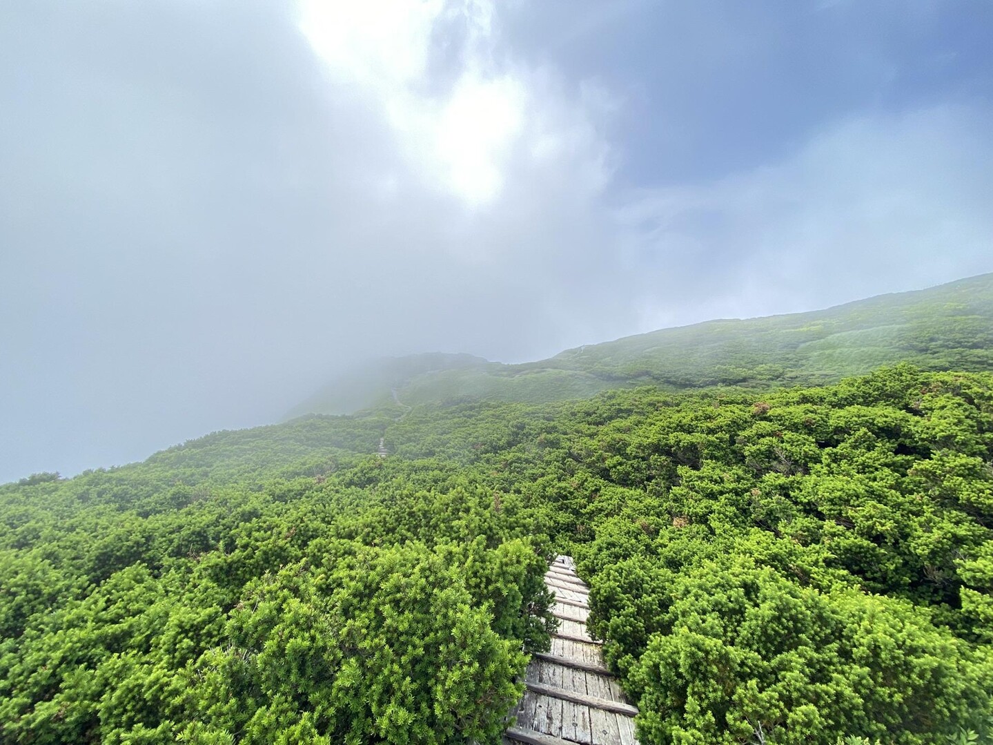 登り999mの大山🏔夏山登山道 / tonさんの大山・甲ヶ山・野田ヶ山の活動データ | YAMAP / ヤマップ