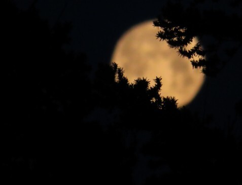 稀府岳 / naotoGSさんの稀府岳の活動データ | YAMAP / ヤマップ