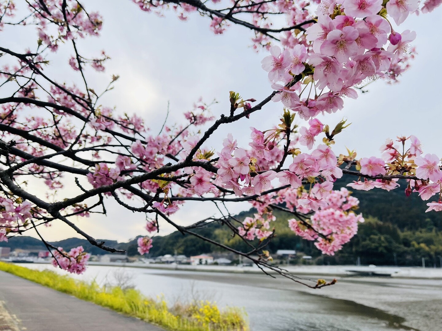 2022.03.07(月) 10:18 / ねこさんさんのモーメント | YAMAP / ヤマップ