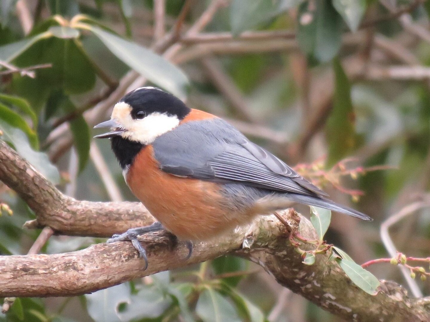 皆さん3連休かな？ 私は今日しか休みがな... / uruさんのモーメント | YAMAP / ヤマップ