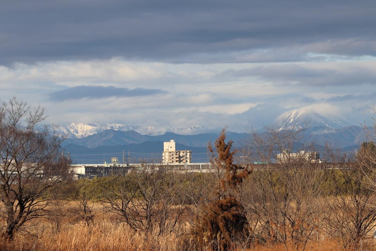 昨夜から降り続いた雨も3時過ぎには上がり... / nabe_kumaさんのモーメント | YAMAP / ヤマップ