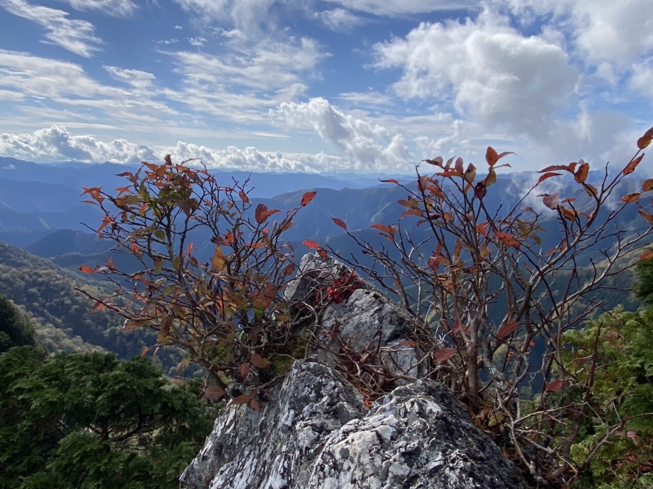 ヒュッテ〜大普賢岳〜ヒュッテ周回コース ... / CHIKAさんのモーメント | YAMAP / ヤマップ