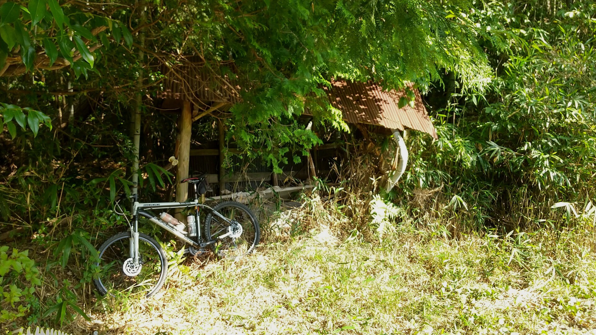 'Sheds' - today's bi... / 'theoutdoorholic'さんのモーメント | YAMAP / ヤマップ