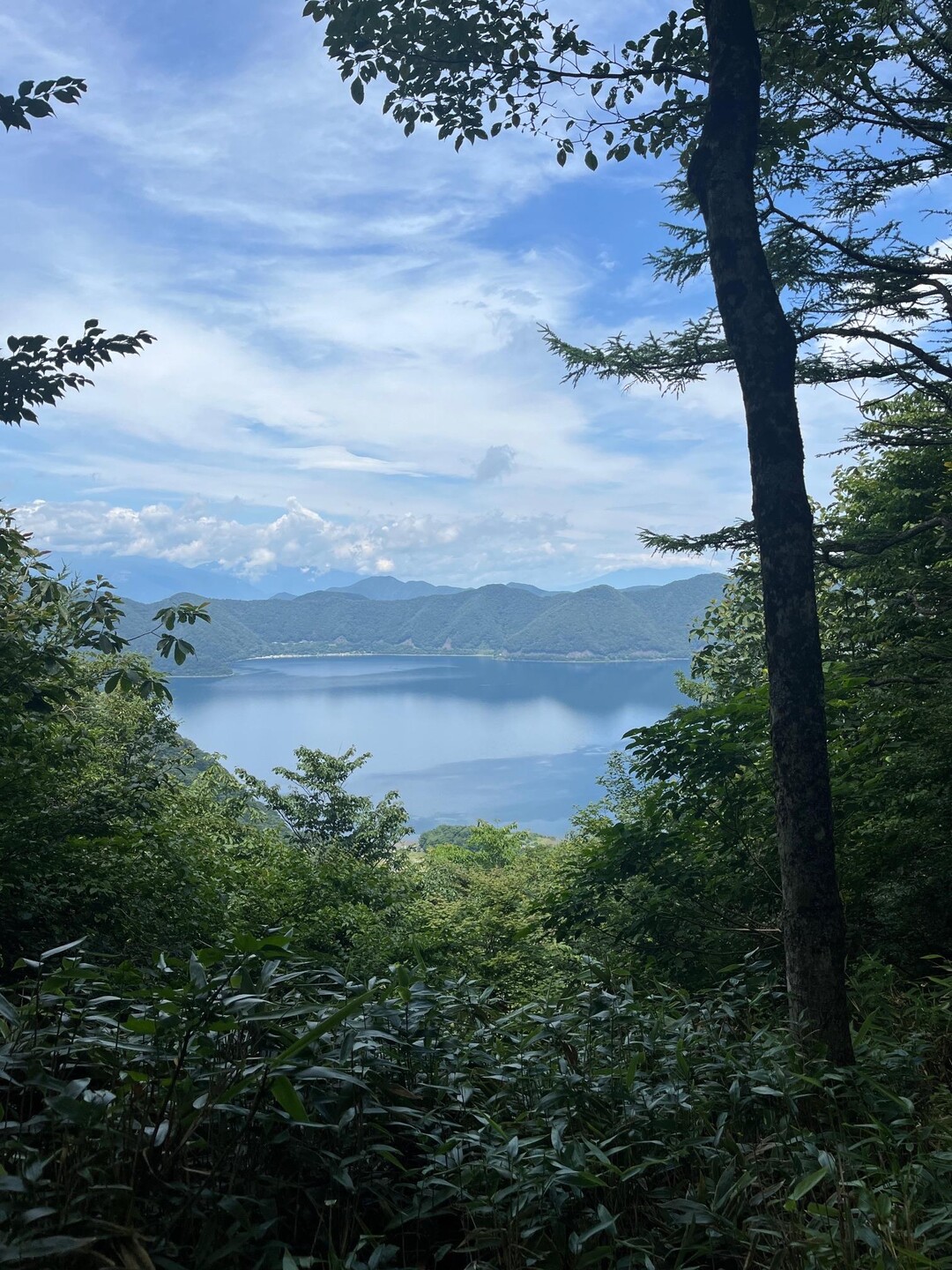 竜ヶ岳 / ka-zさんの毛無山・雨ヶ岳・竜ヶ岳の活動データ | YAMAP / ヤマップ