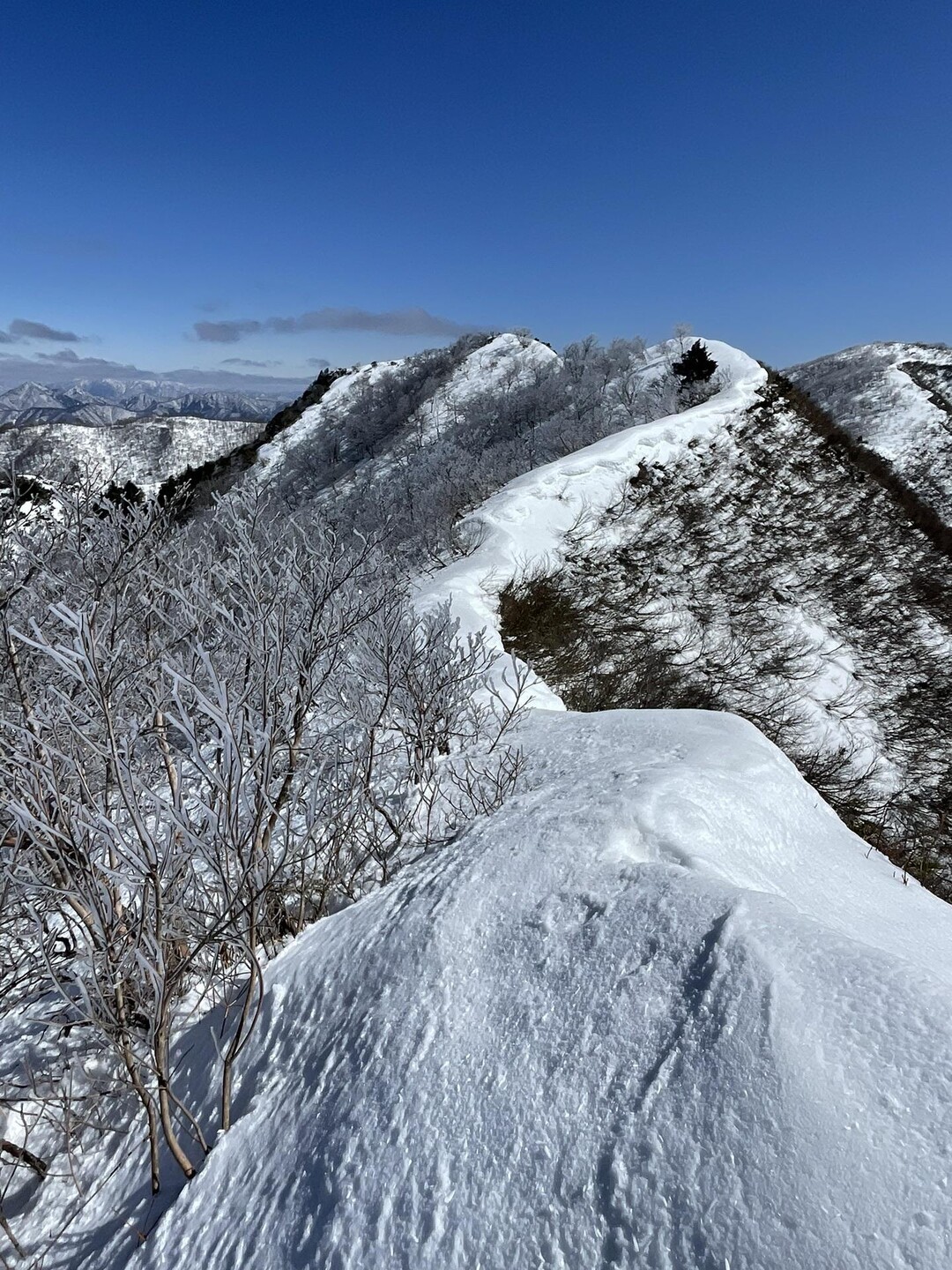 奥山・白倉岳・金糞岳 / Bobさんの金糞岳の活動データ | YAMAP / ヤマップ