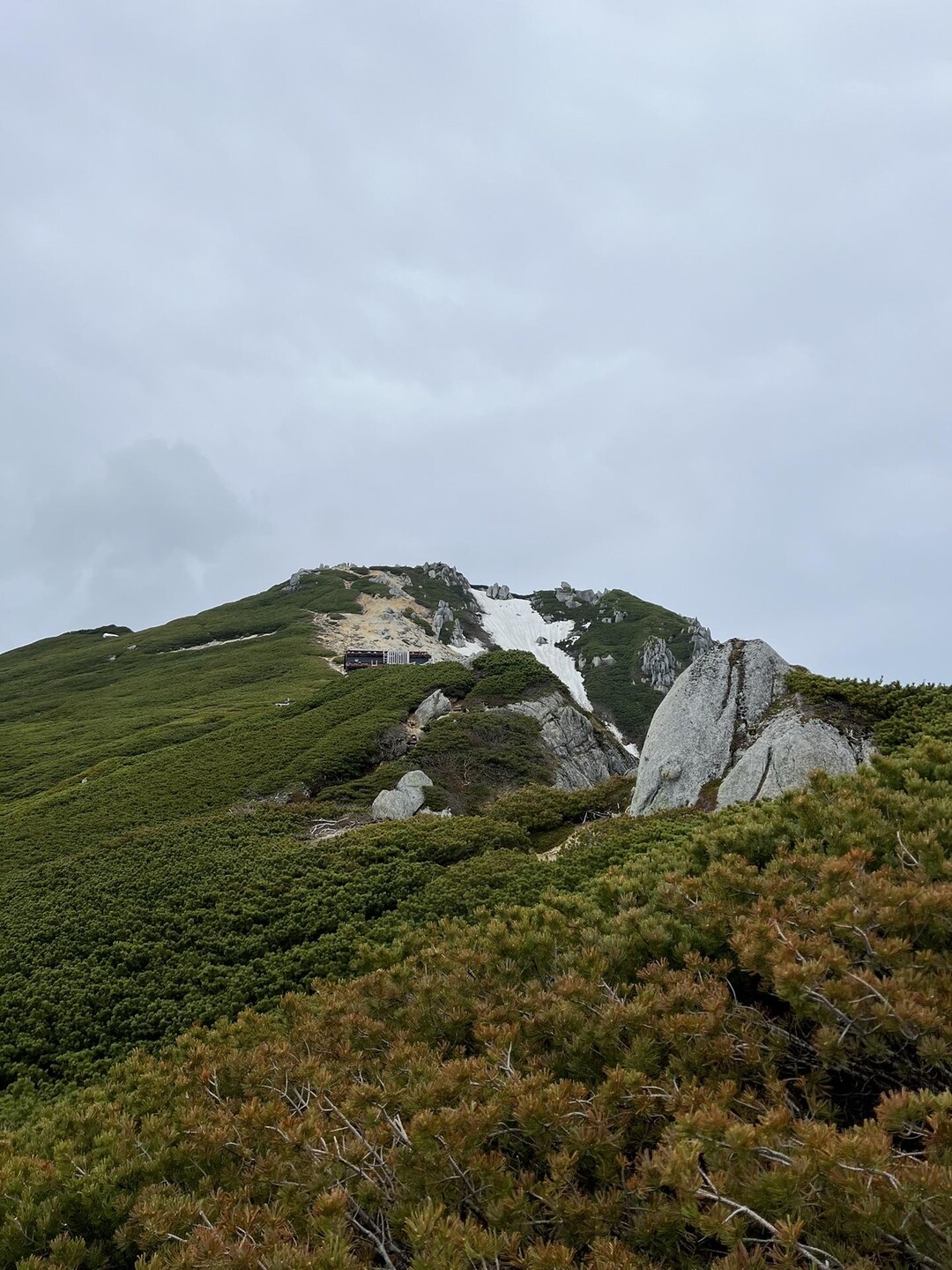 中央アルプスの女王😍 空木岳 ️ / ZO-kunさんの木曽駒ヶ岳・空木岳・越百山の活動データ | YAMAP / ヤマップ