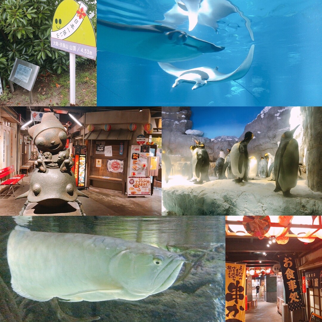 UMIPと日本一低い天保山♪ / 👺もっちゃり さとべえさんの天保山の活動データ | YAMAP / ヤマップ