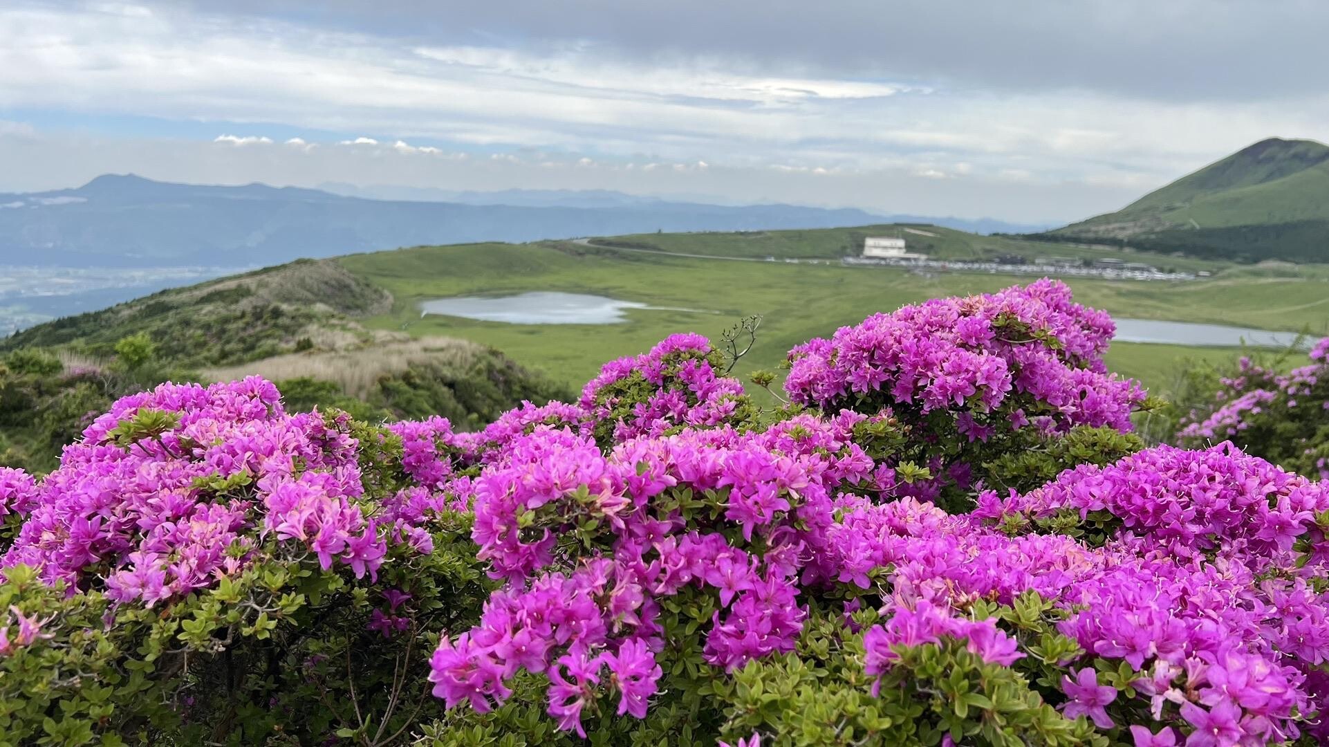 烏帽子岳🌺 / wak-kunさんの阿蘇山・高岳・根子岳の活動データ | YAMAP / ヤマップ