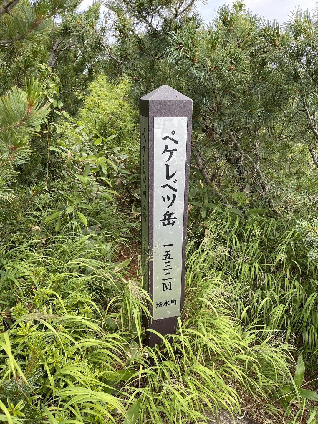 ペケレベツ岳 / おさむちゃんさんのGT3 7の活動データ | YAMAP / ヤマップ