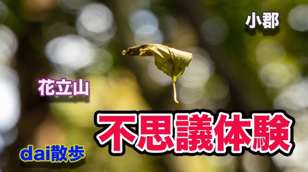 不思議体験した動画です🤣 不思議体験... / daisagan さんのモーメント | YAMAP / ヤマップ