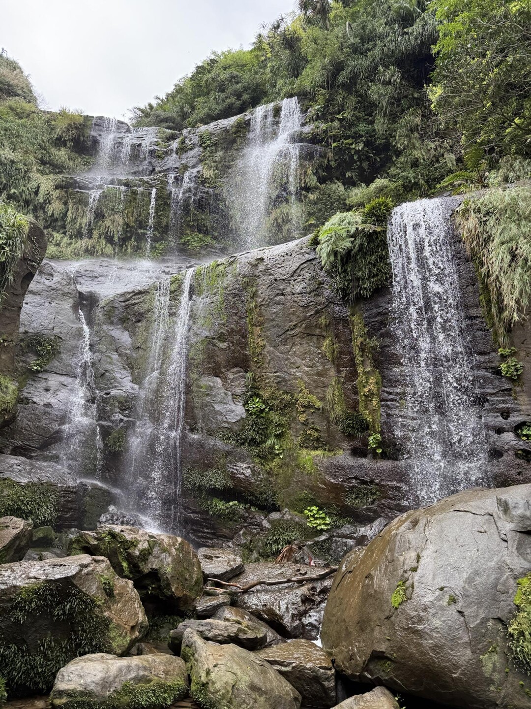 古見岳 / zenzi さんの西表島の活動データ | YAMAP / ヤマップ