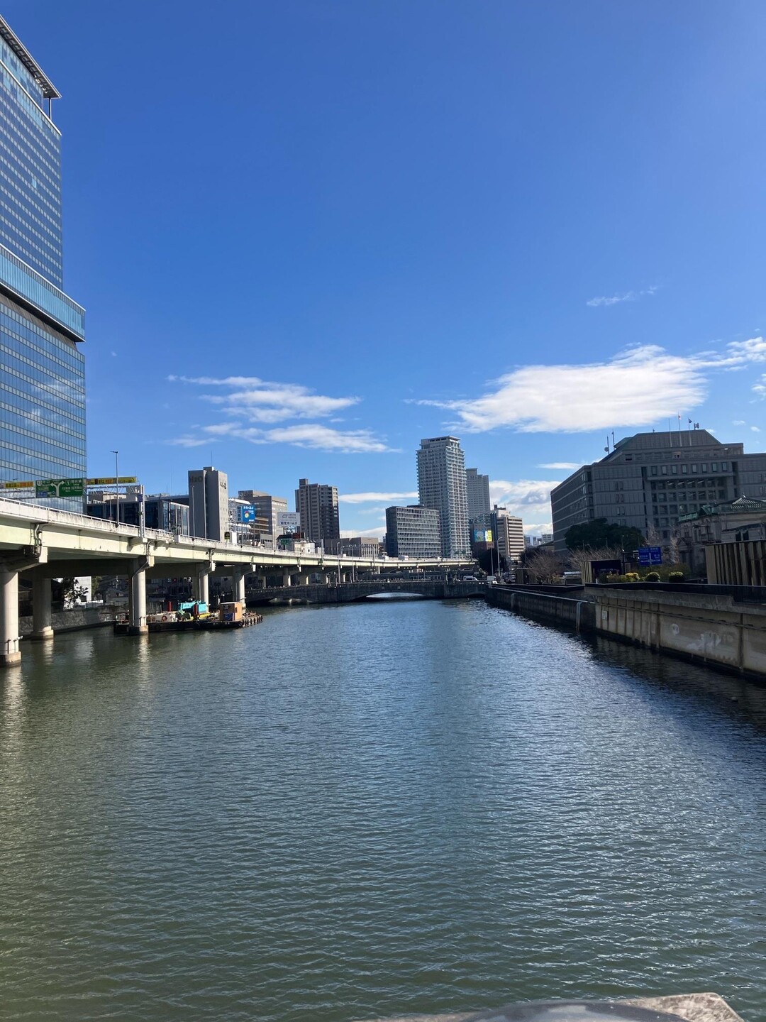 🚶‍♂️久しぶりに中之島へ🚶‍♂️ / masさんのウォーキングの活動データ | YAMAP / ヤマップ