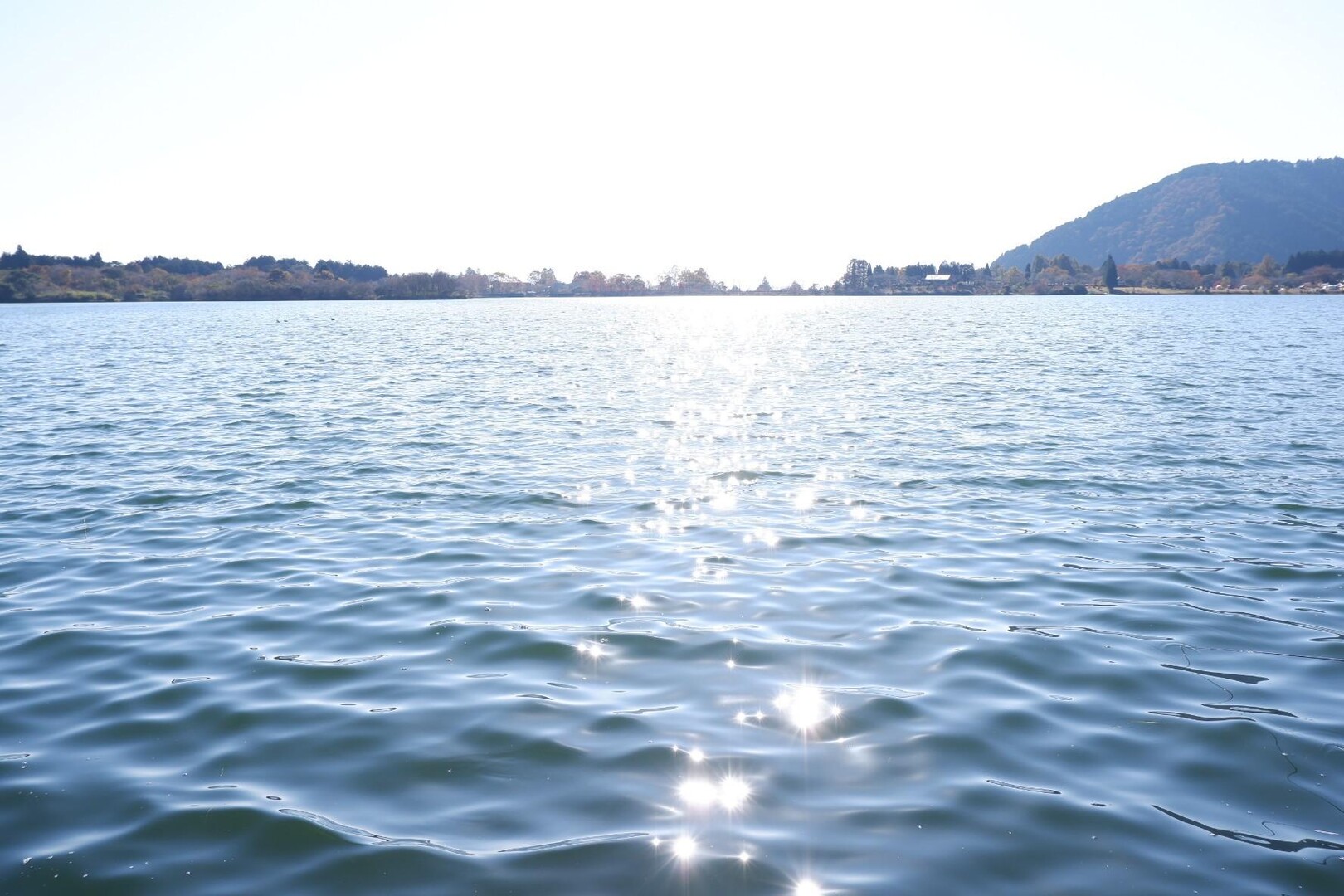 田貫湖湖畔20221112 一周ゆっく... / sasaさんのモーメント | YAMAP / ヤマップ